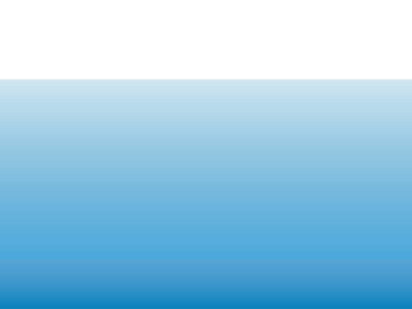 Wii Shop Channel